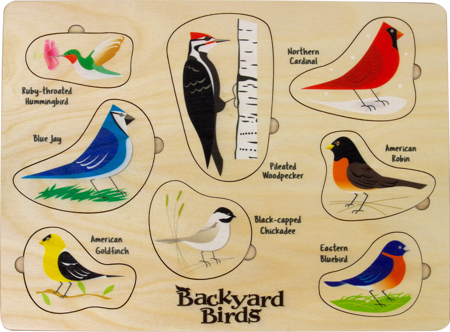 Lift & Learn Birds Puzzle — Maple Landmark